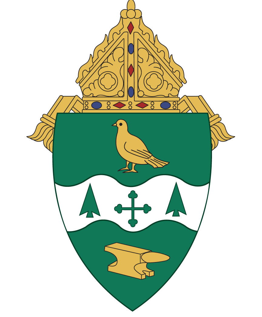 Diocese announces its new logo incorporating traditional coat of arms ...