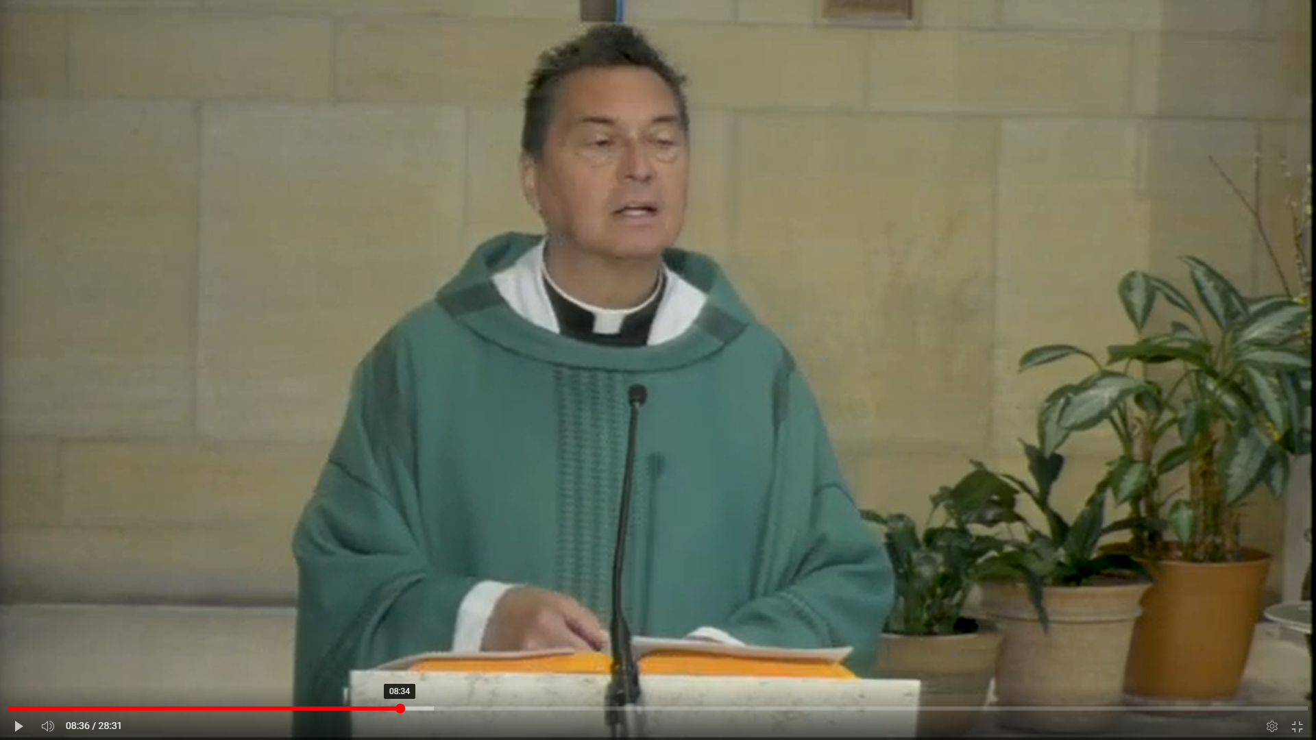 Sunday Mass July 9, 2023 - The Catholic Echo