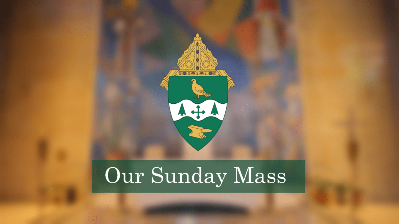 Our Sunday Mass from St. Columba Cathedral - The Catholic Echo