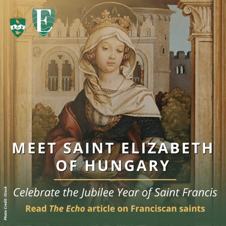 Year of St Francis - The Catholic Echo